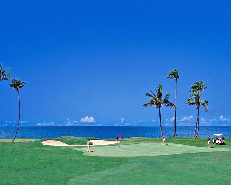 Fiji Golf Tour - ausgolf